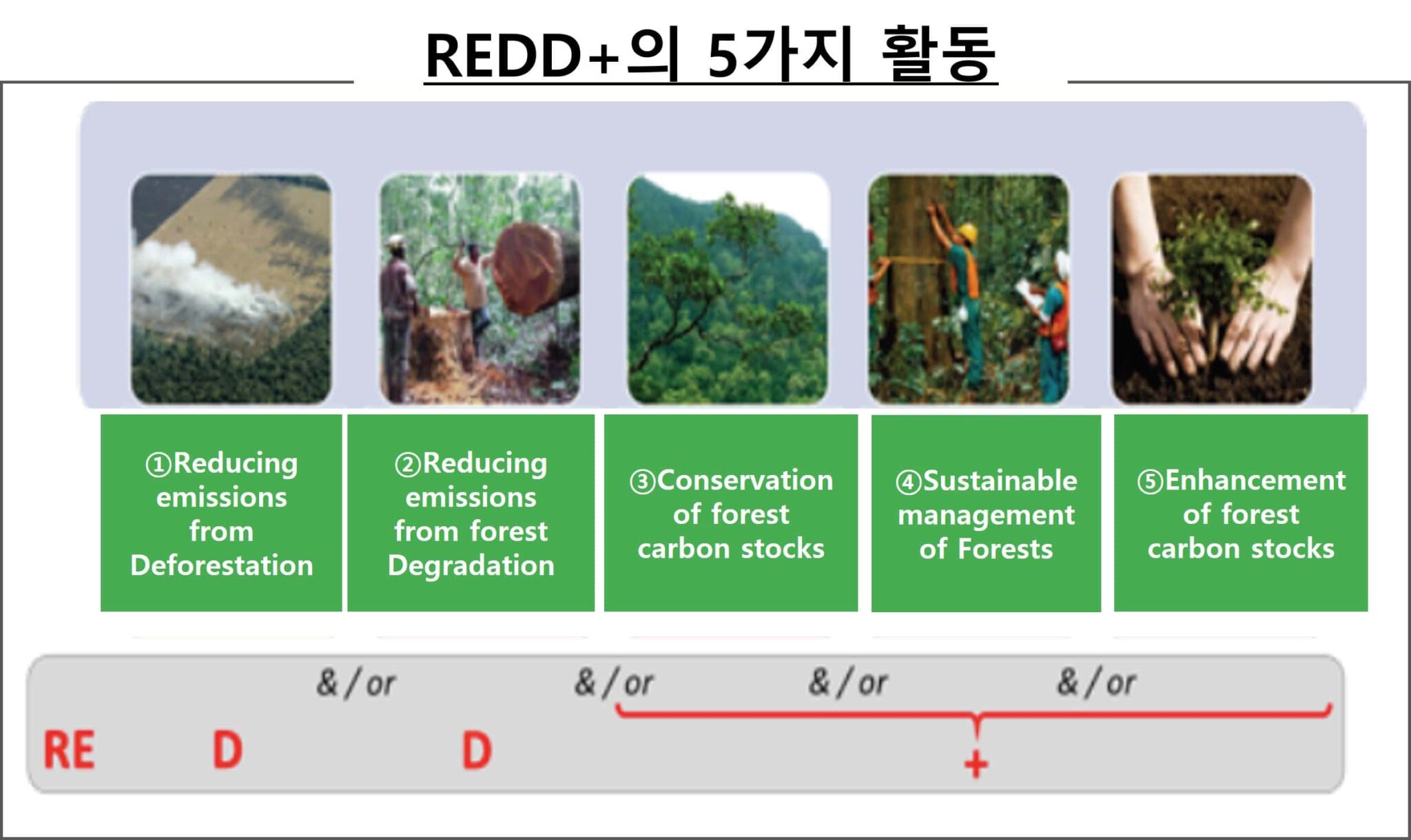 산림 보호를 위한 보상 체계, REDD+｜그리니엄